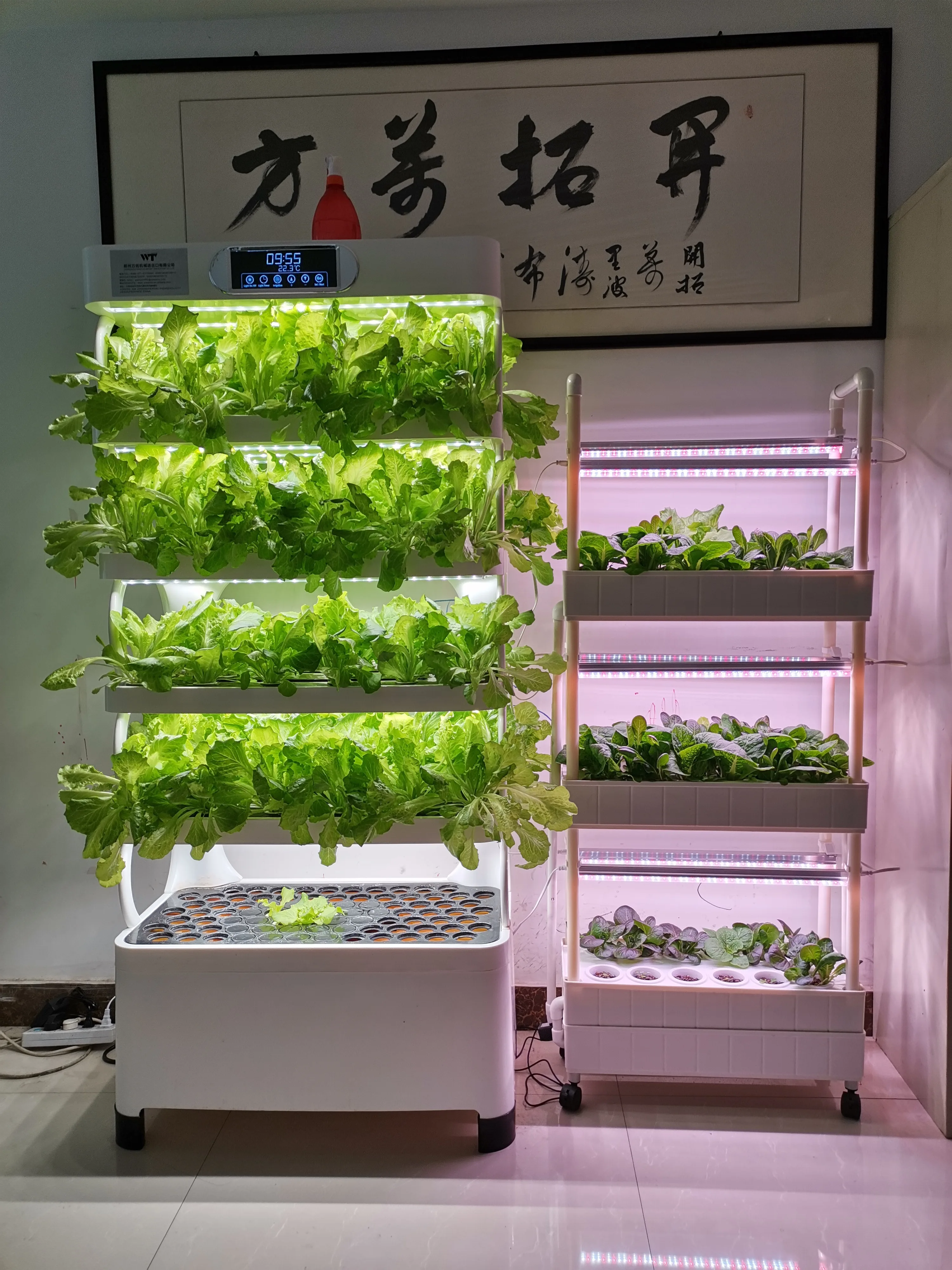 Indoor Vertical Hydroponic Planting - Intelligent & Automatic