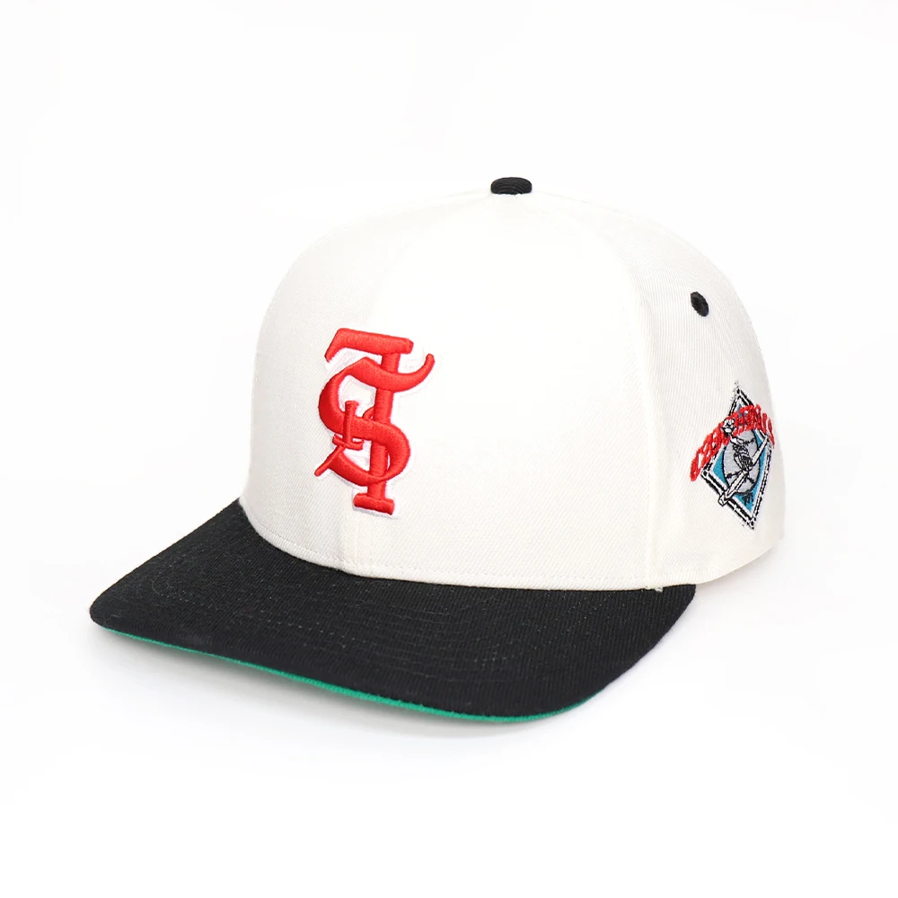 Custom 6 Panel 3D Embroidery Logo Acrylic Snapback Caps