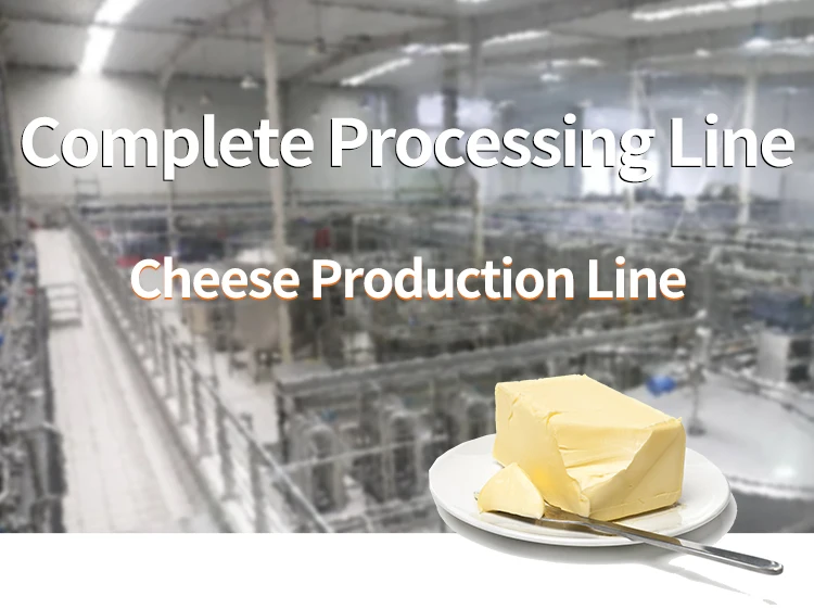 11uht Milk Processing Plant Complete Milk Uht/ Pasteurized Milk/yogurt/cheese Processing Plant ...