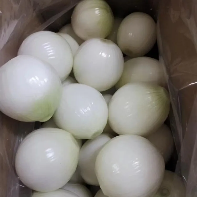 Fresh Peeled Onion Nitrogen-Filled Bag Gansu Origin China