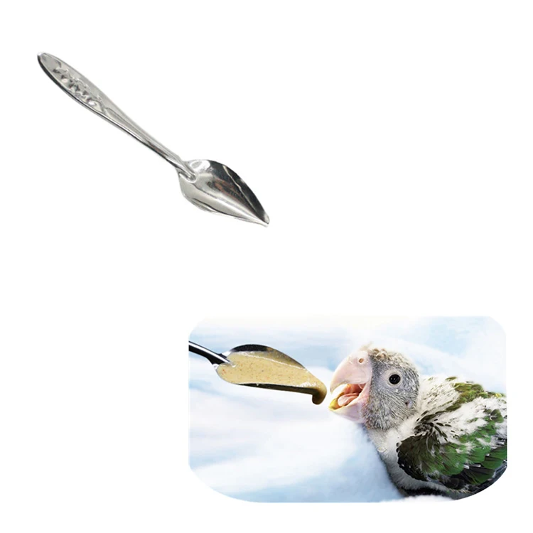 Stainless Steel Bird Feeder Spoons Parrot Feeding Scoops Hand Feeding Spoons for Parrot| Alibaba.com