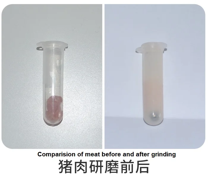 NANBEI NW-800 Tissue Grinder - High-Throughput & Efficient