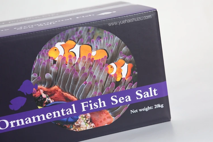 Export tank Saltwater Aquarium 20kg 25kg Box Barrel Package Marine Fish ...