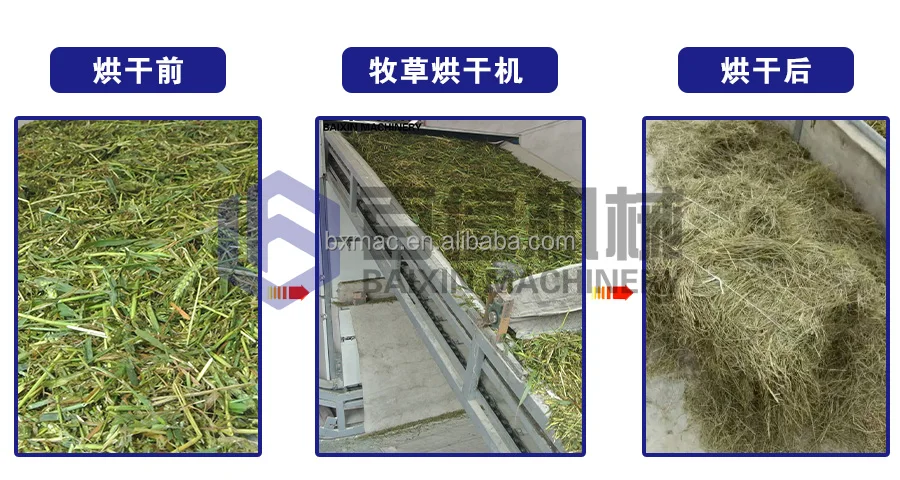 High Efficiency Grass Dryer Machine - Baixin Drying Solutions
