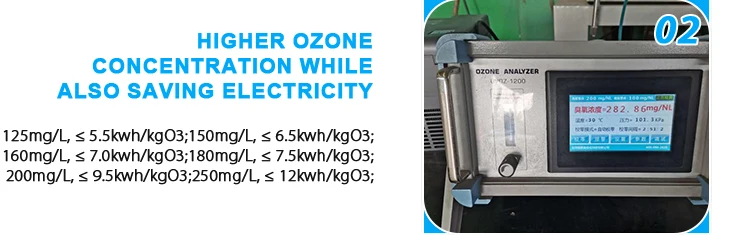 Swimming Pool Ozone Generator - Efficient Water Treatment