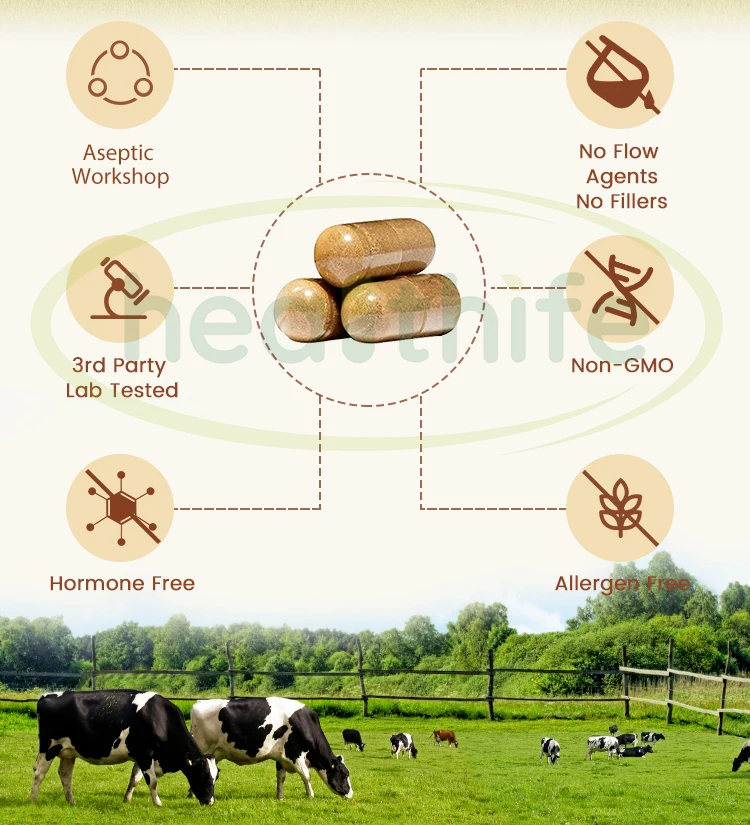 Beef Liver Gummies Beef Heart Kidney Pancreas Spleen Grass Fed Bovine ...