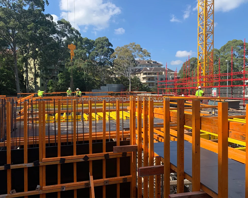 Australian Standard Formwork LVL Beam, Larch TruForm LVL Timber ...