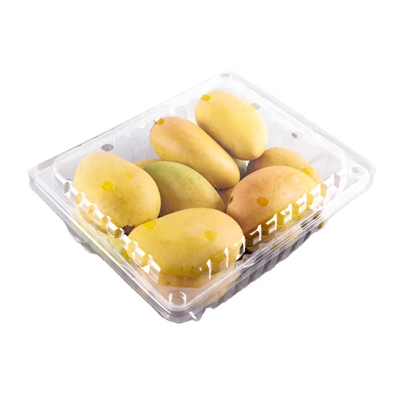Transparent Plastic Fresh Fruit Container Hinged Lid Packing Boxes For ...