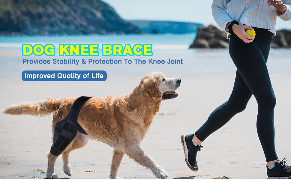 OEM Orthopedic Dog Leg Brace for ACL Pet Knee Support