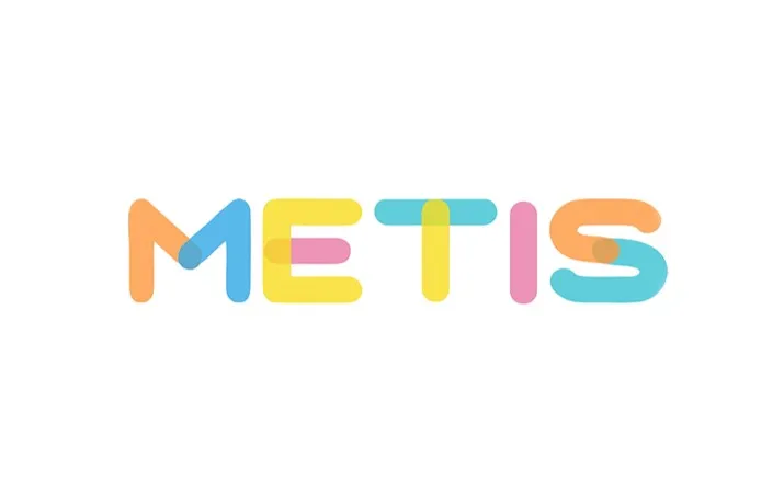 Company Overview - Nanchang Metis Trading Co., Ltd.