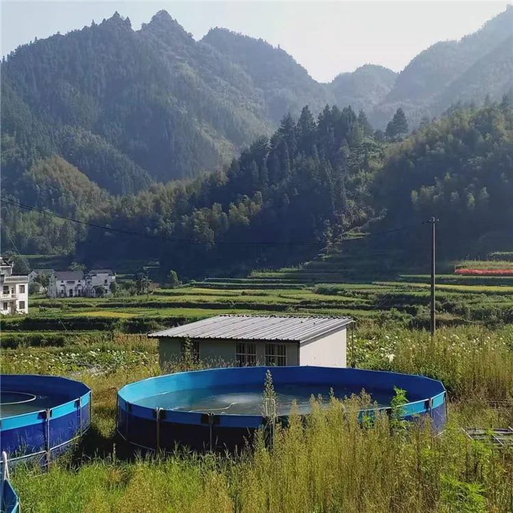 Portable Fish Pond - Durable Plastic Tank for Aquatics