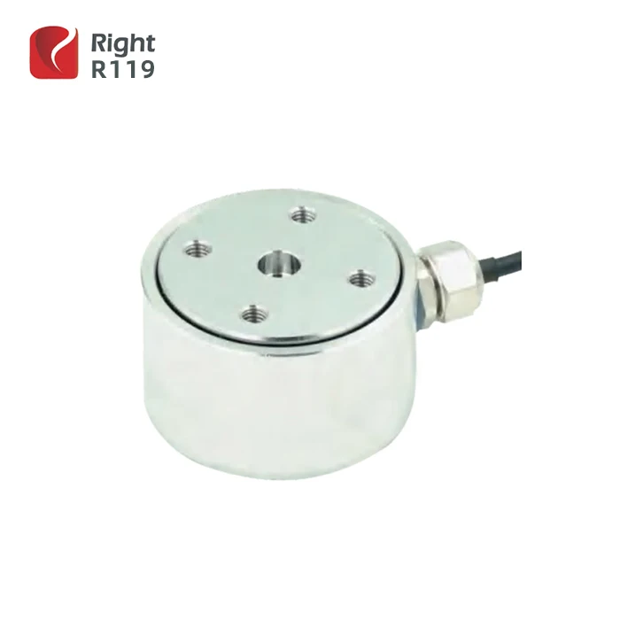 R119 3kg Overhead Crane Hanging Pull Press Load Cell With Display - Buy ...