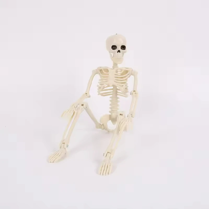 Bones Human Life Size Realistic Plastic Decoration Spooky Movable ...
