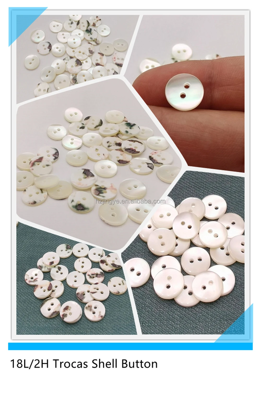 18L 2 Holes Flat Natural Trocas Shell Button in White
