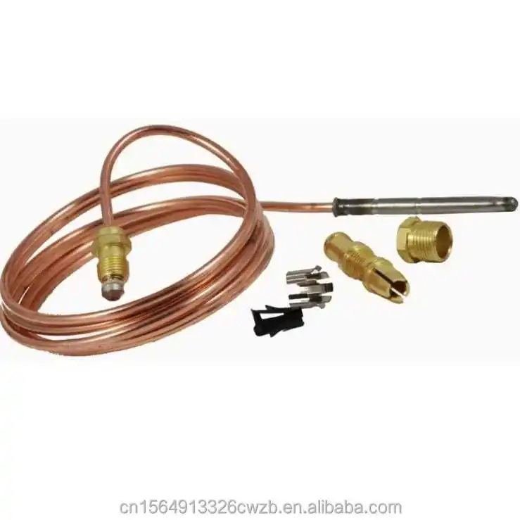 Robertshaw Thermostat Control Pilot Burner Assembly Replacement Clip ...
