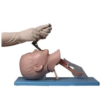 Human Medical Science Simulation Child Tracheal Teaching Model ...