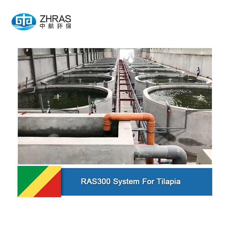 Fish Farming System/customized Wholesale Ras System For Shrimp Farming ...