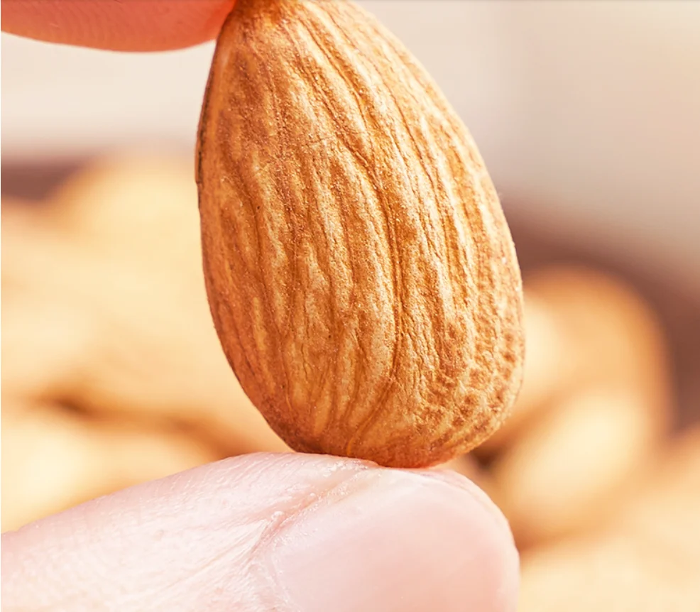 Ycoyco Original 500g Dried Almonds Salt And Mixed Nuts Adults Snack ...