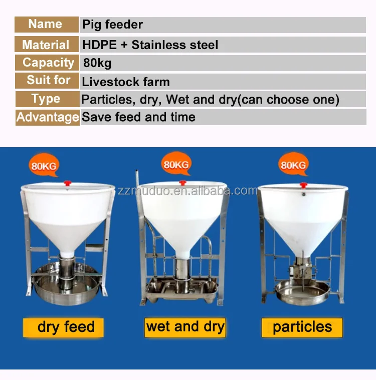 Automatic Pig Feeding Equipment - Efficient & Water-saving