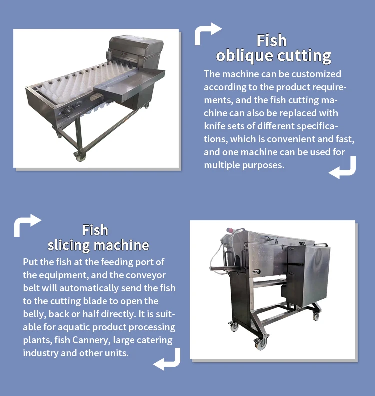 AICN Electric Automatic Common Fresh Fish Scale and Oblique Cutting ...
