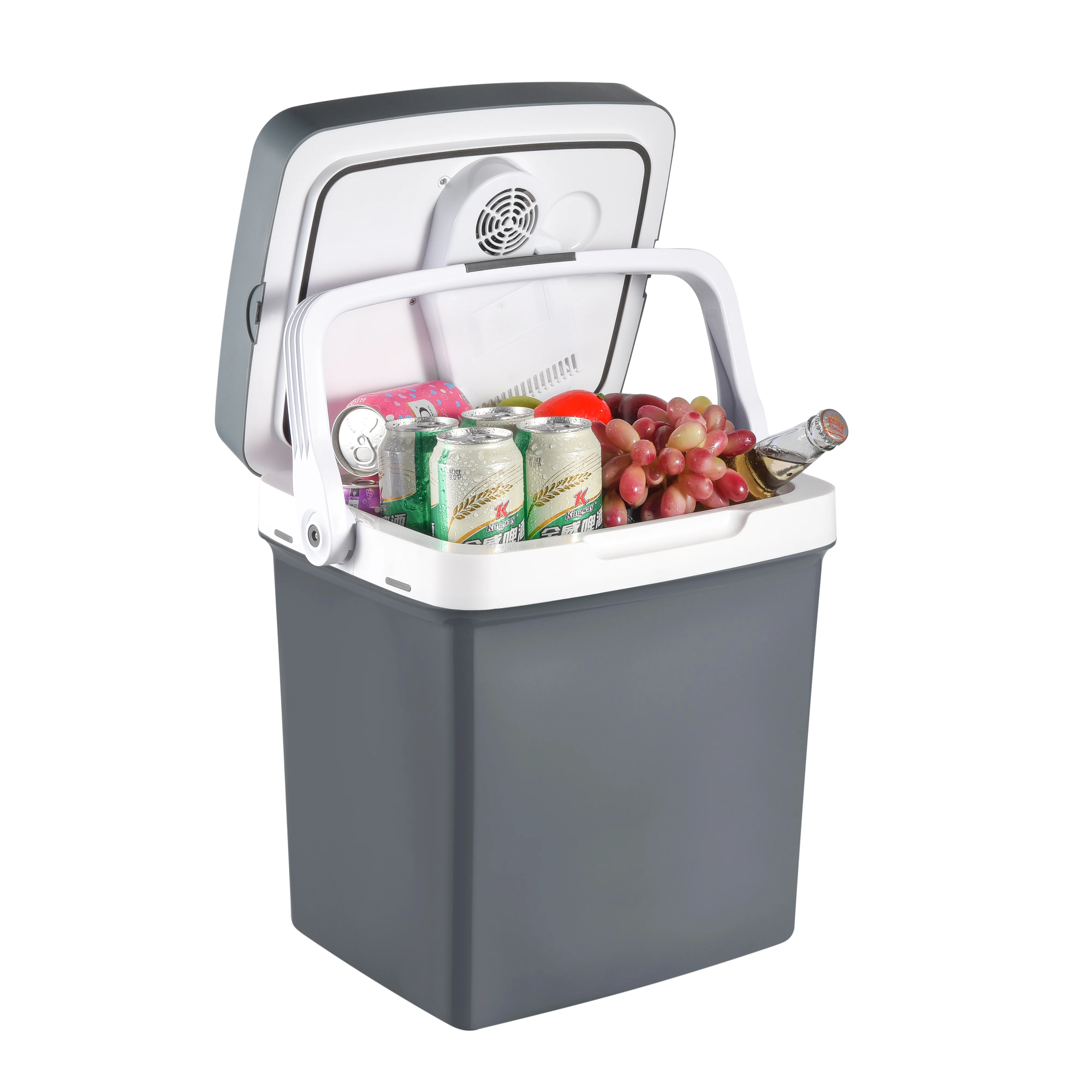 24l Dc Mini Fridge Cooler And Warmer Refrigerators For Outdoor Portable ...