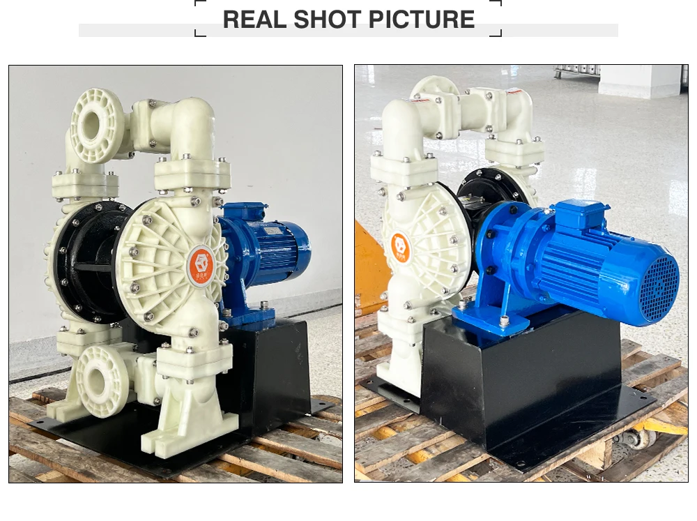 GODO BFD-80S Double Diaphragm Pump - Efficient & Durable