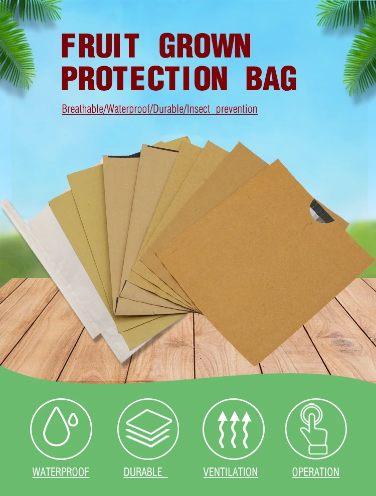 Wholesale Fruit Protection Growing Paper Bag - Mango Cover
