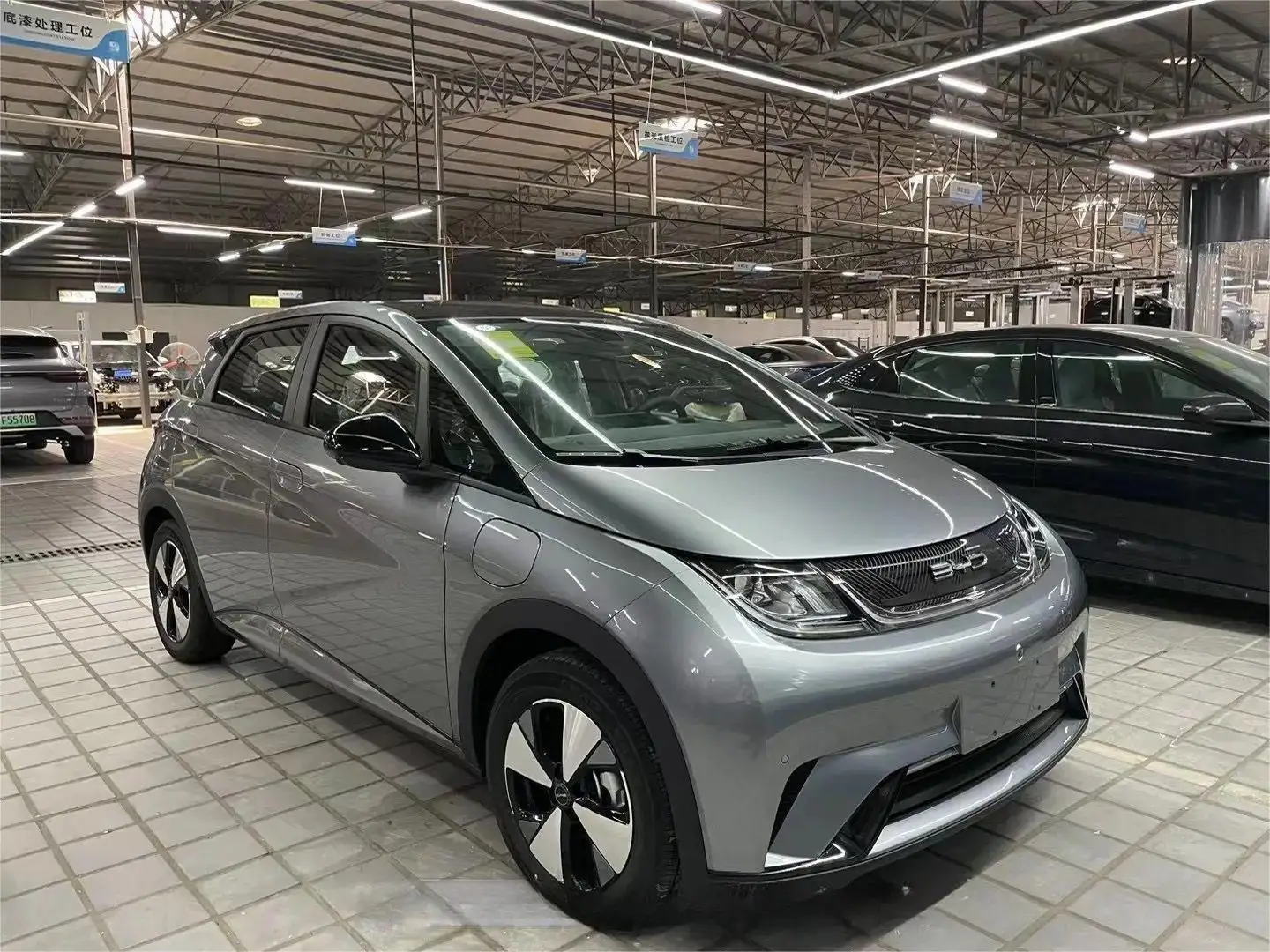 Byd Dolphin Electrico 2023 Nuevo Byd Dolphin Car Ev Car 2023 Electric ...