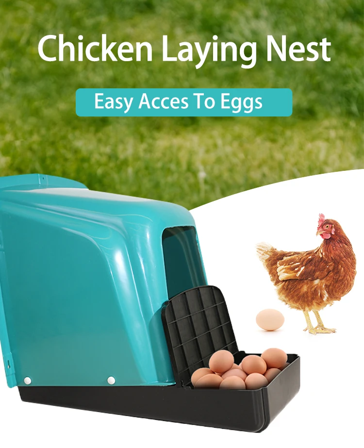 Plastic Chicken Nest Coop Box - Support Wall Mounted