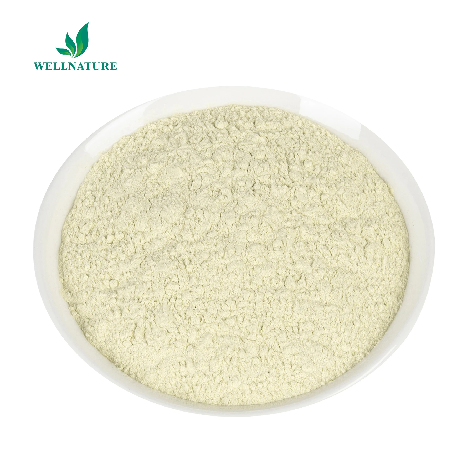 Chitosan Powder Chitosan Oligosaccharide Powder Water Soluble Chitosan ...