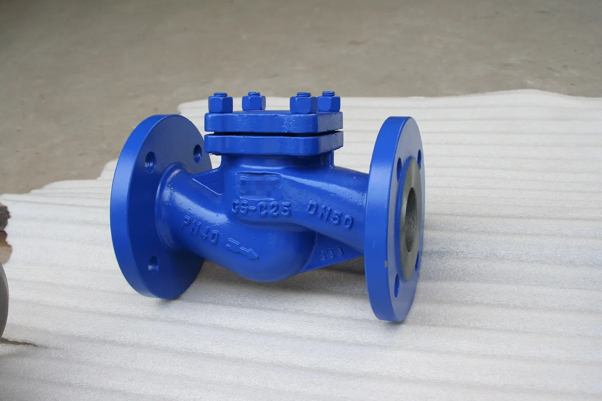 Flanged DIN DN50 DN100 DN200 PN25 Spring Loaded Globe Check Valve