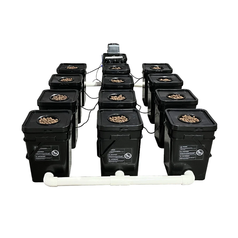 Rdwc 12 Buckets Recirculating Hydroponics System Custom Made Acceptable - Buy Hydroponic System ...