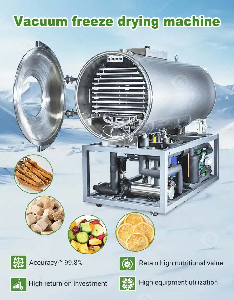 Industrial Lyophilizer - Efficient Freeze Drying Solutions