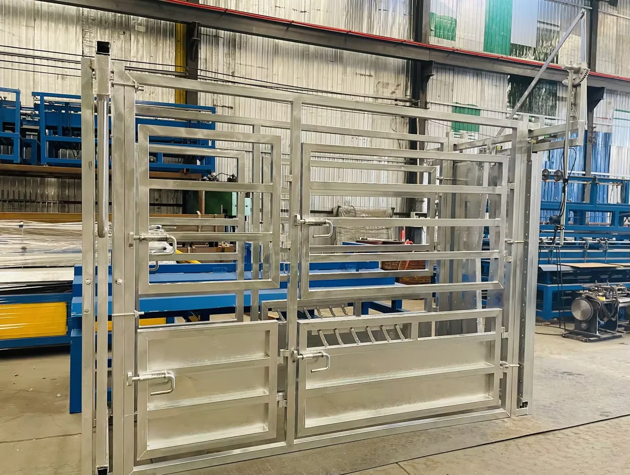 Heavy Duty Automatic Galvanized Cattle Squeeze Chute