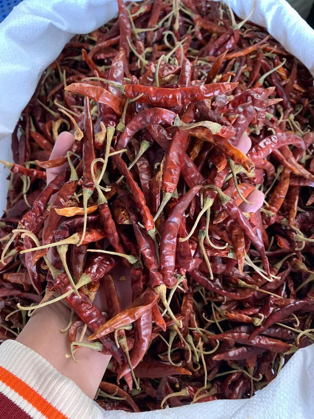 Sfg Mantianxing Millet Pepper Dry Chili Hot Pot Seasoning Raw Material ...