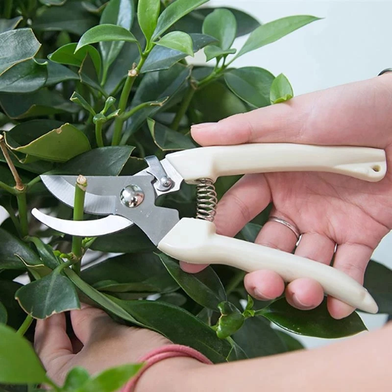 Sunshine Garden Limb Scissors Grafting Clipper Fruit Tree Hand Pruning ...