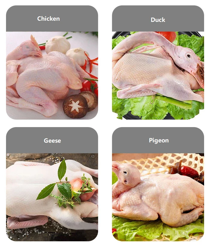 Separation Automatic Chicken Vacuum Lung Multifunctional Slaughtering ...