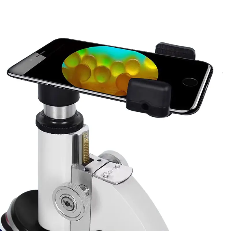 Primary And Secondary Light Microscope Can See Bacteria Examination ...