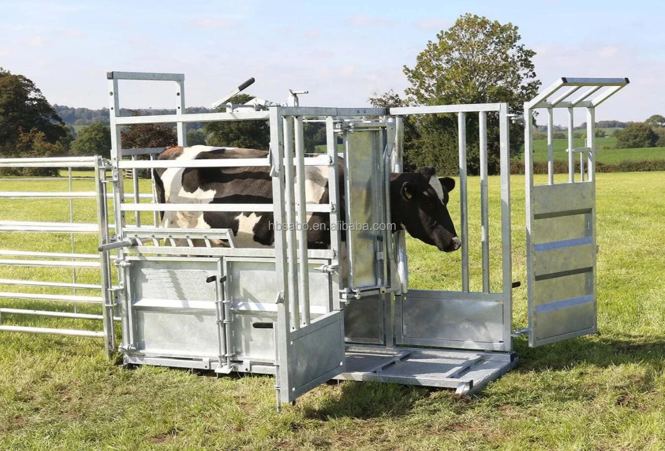 Galvanized Cattle Panel Squeeze Crush Cattle Handling Equipment