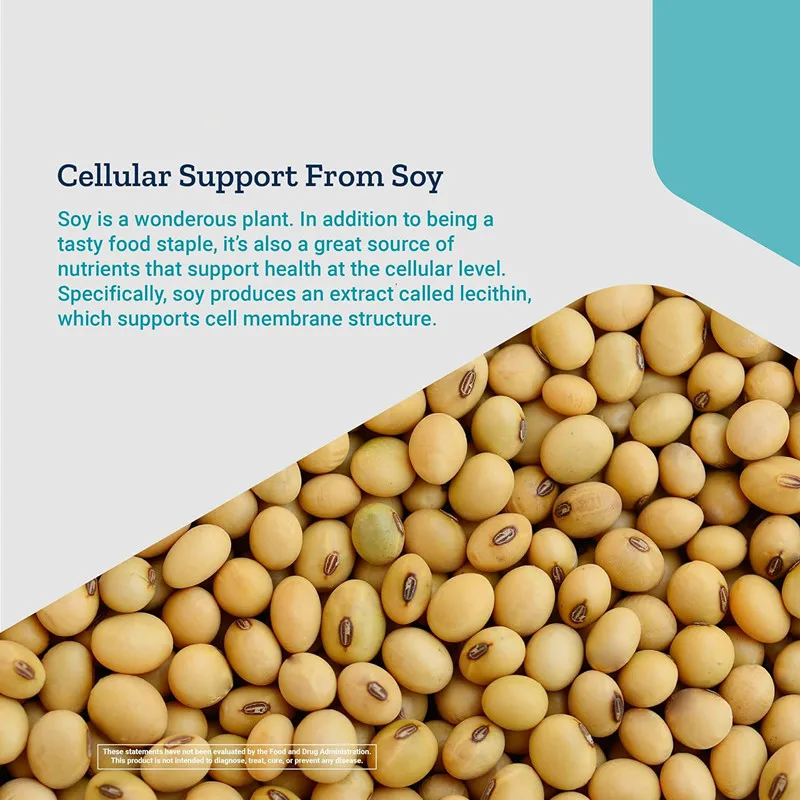 Oem/odm/obm Natural Healthcare Soy Lecithin Capsules 1200mg Soy ...