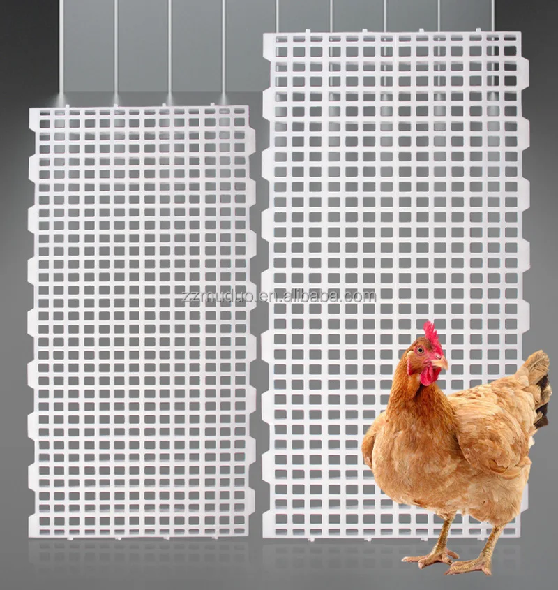 Poultry Slatted Dung Leaking Board - Durable & Easy Clean