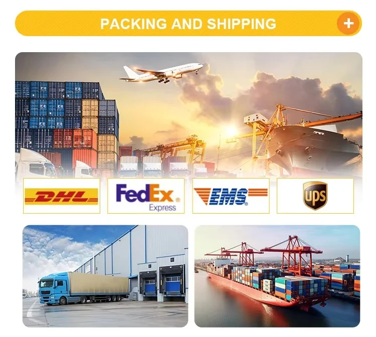 284 Pcs Outdoor Emergency Travel First-Aid Kit Household Sundries for ...