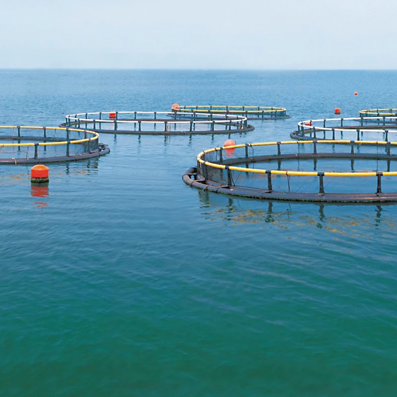 Aquaculture Fish Farming Net Cage System| Alibaba.com