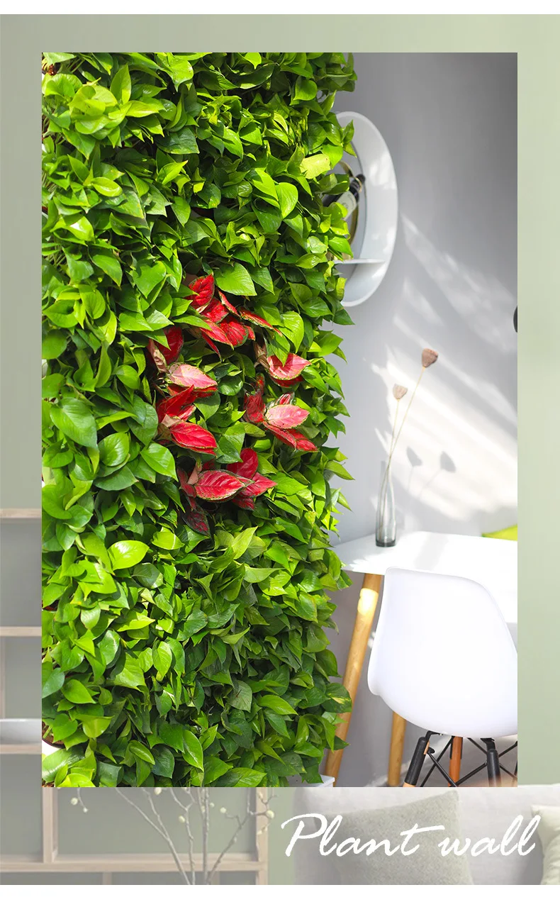 Hydroponic Growing System - 2 Square Meter Indoor Plant Wall for Home ...