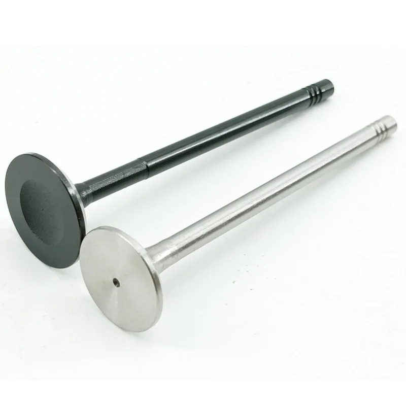 132025379R & 132013562R - Intake Exhaust Valves for Nissan