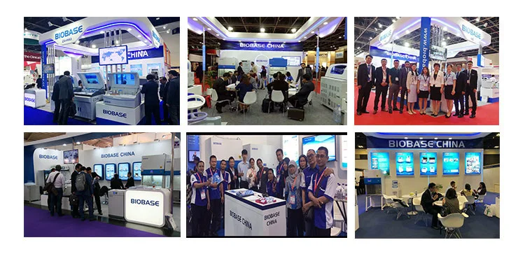 Gas Chromatography Gc Bk-gc900 With Fid Temp. Range Rt+5~450 Temp ...