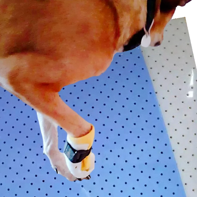 Flexible Dynamic Thermoplastic Splinting Solutions For Pet Dog Cat Leg ...