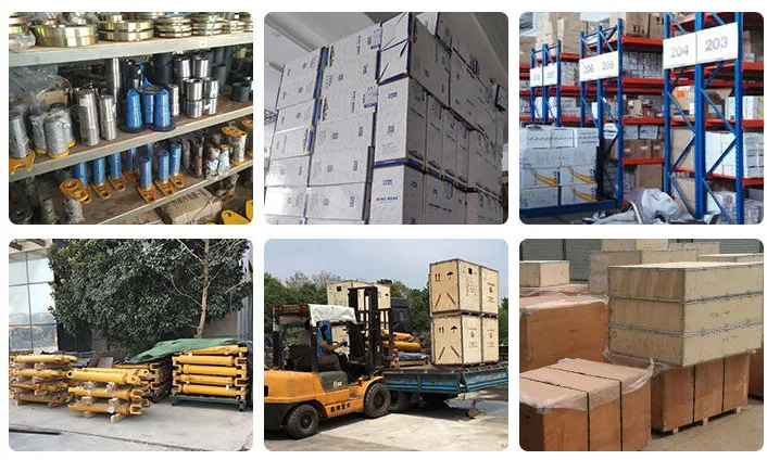 China Top 1 Brand Spare Parts 91000025a 800901159 5 Ton Lw500f Zl50g ...