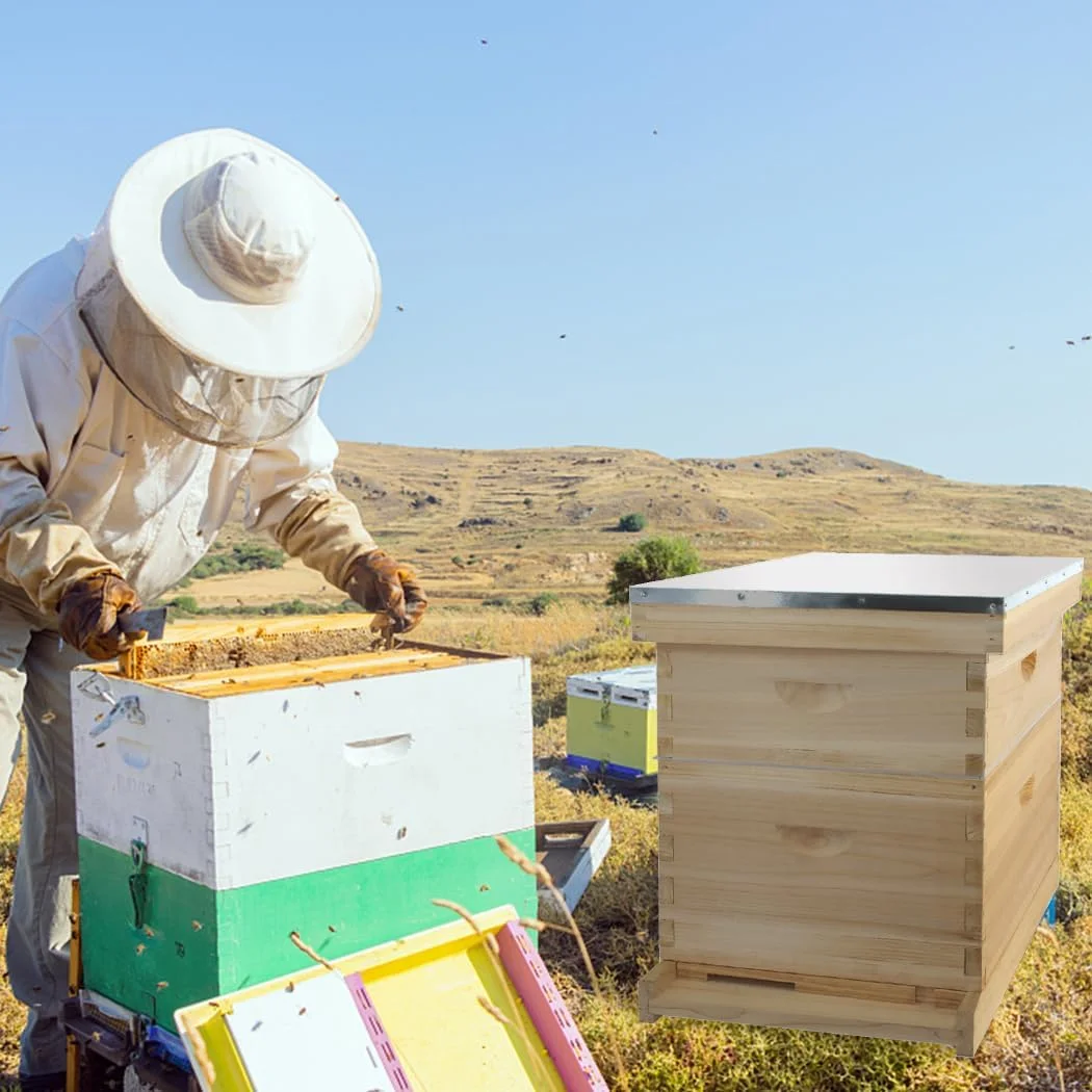 Wholesale 2 Layers Plastic Beehive Langstroth Beehive Thermo Box for ...