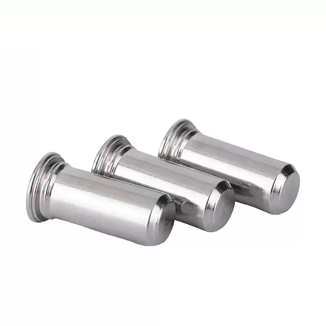 Tps 304 Stainless Steels Natural Colour Inch Guide Pin Positioning ...